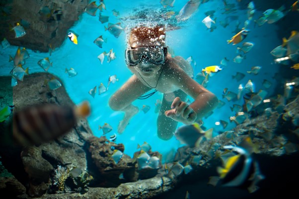 Common Freediving Hazards and How to Avoid Them