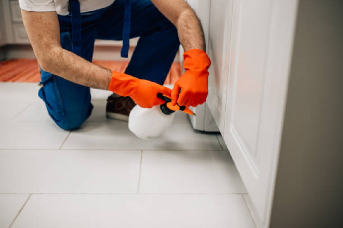 Choosing the Right Rat Control Methods for Your Home